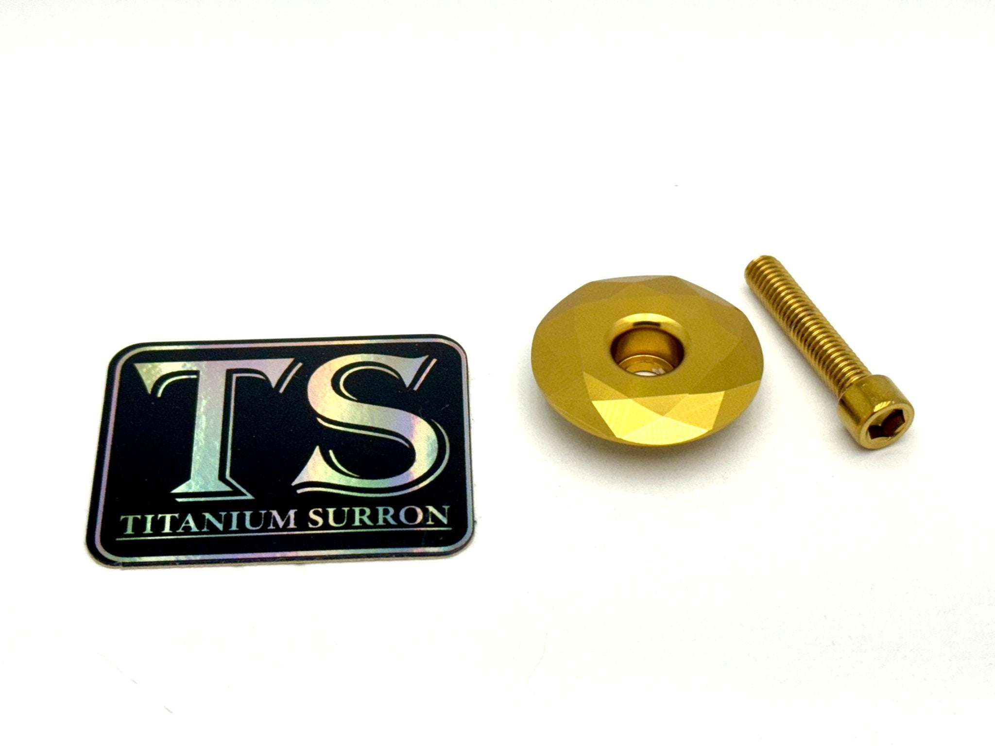 E-moto Fork Stem Caps Surron, Talaria, E-Ride Pro E-moto – Riot Racing