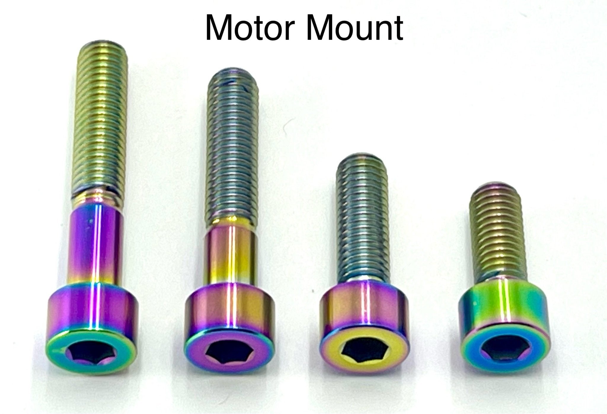 Titanium Motor Bolts - Surron LBX – Riot Racing